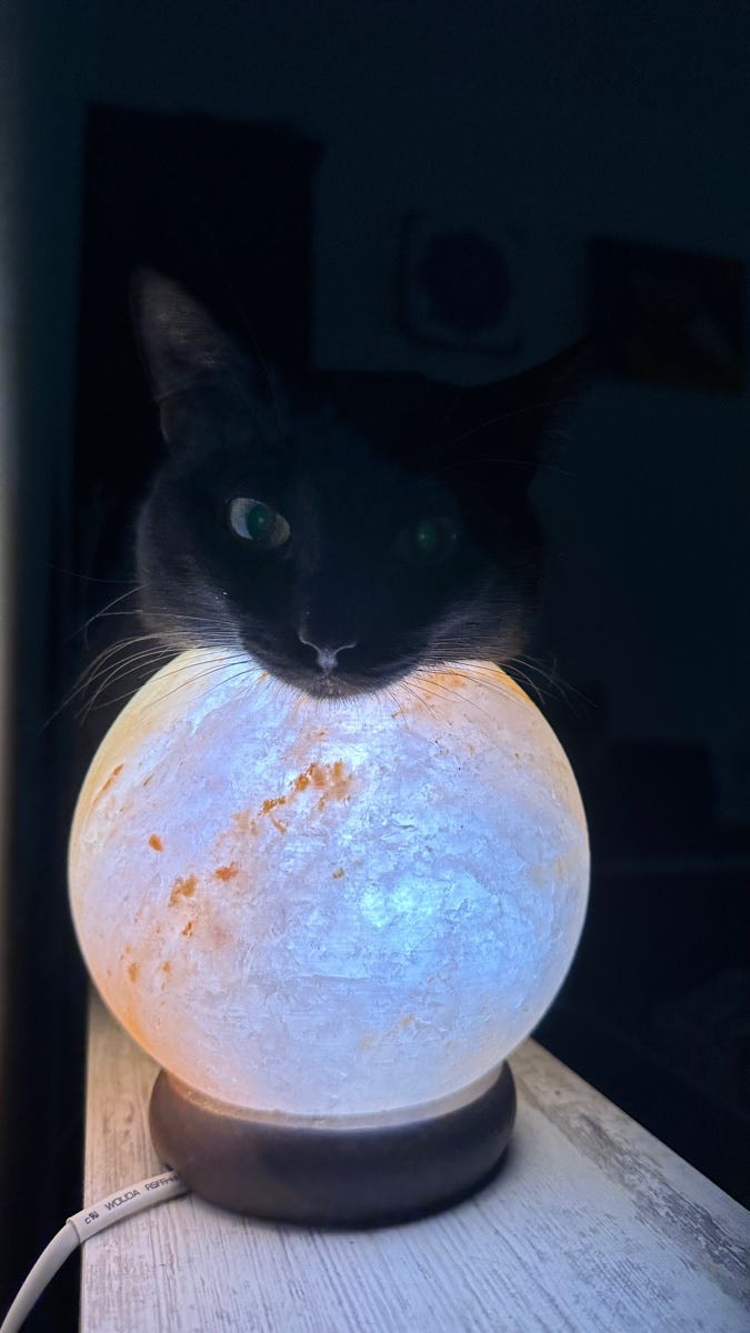 carmen v m on Medium curated some lists