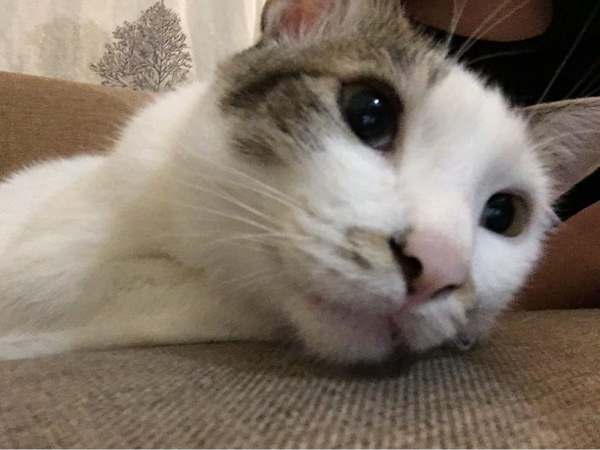 Terry Kuo – Medium