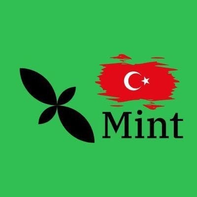 Mint Turkey – Medium