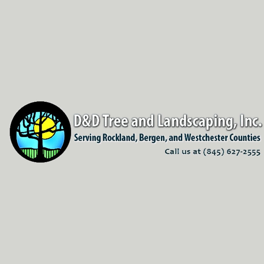 D&D Tree and Landscape – Medium
