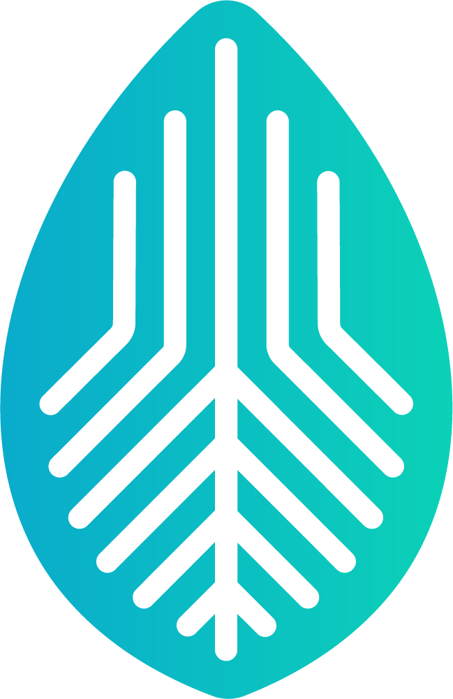 Nolan Patterson – Medium