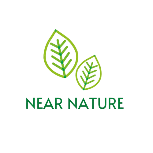 Near Nature – Medium