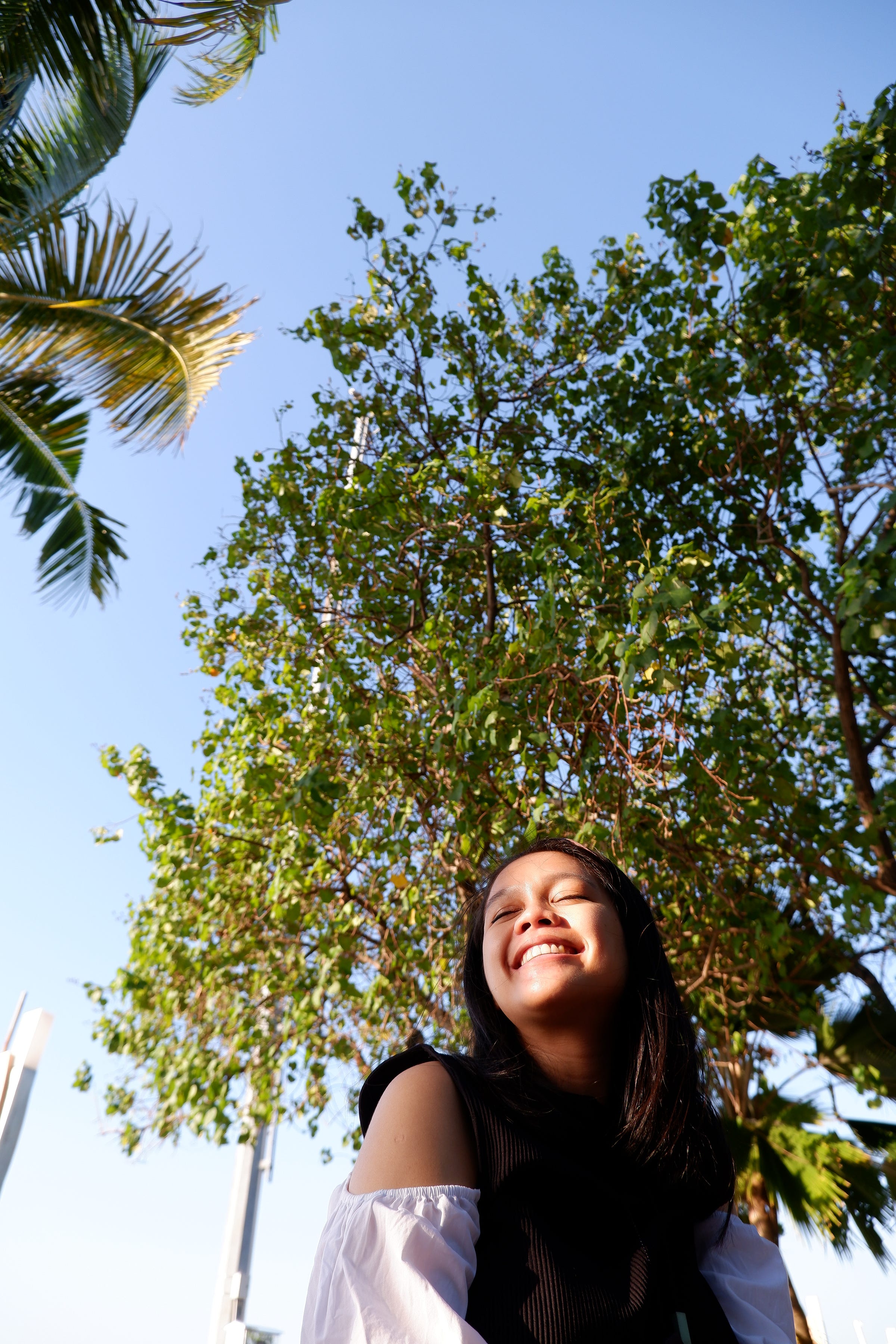Intan Pertiwi – Medium