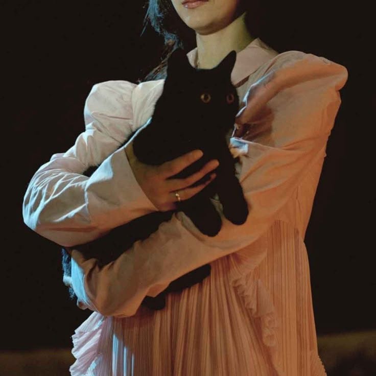 rotten lamb – Medium