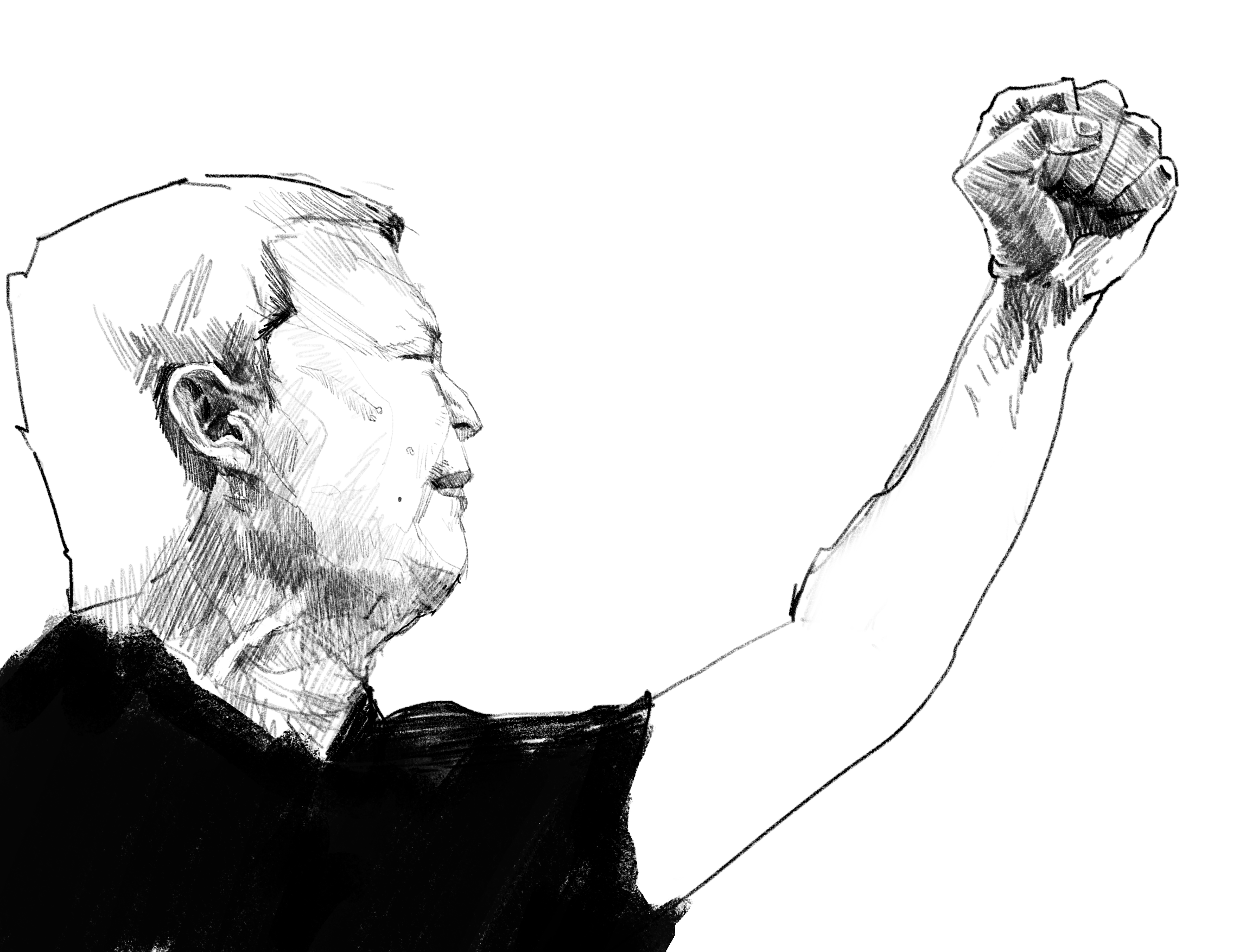 Julius – Medium