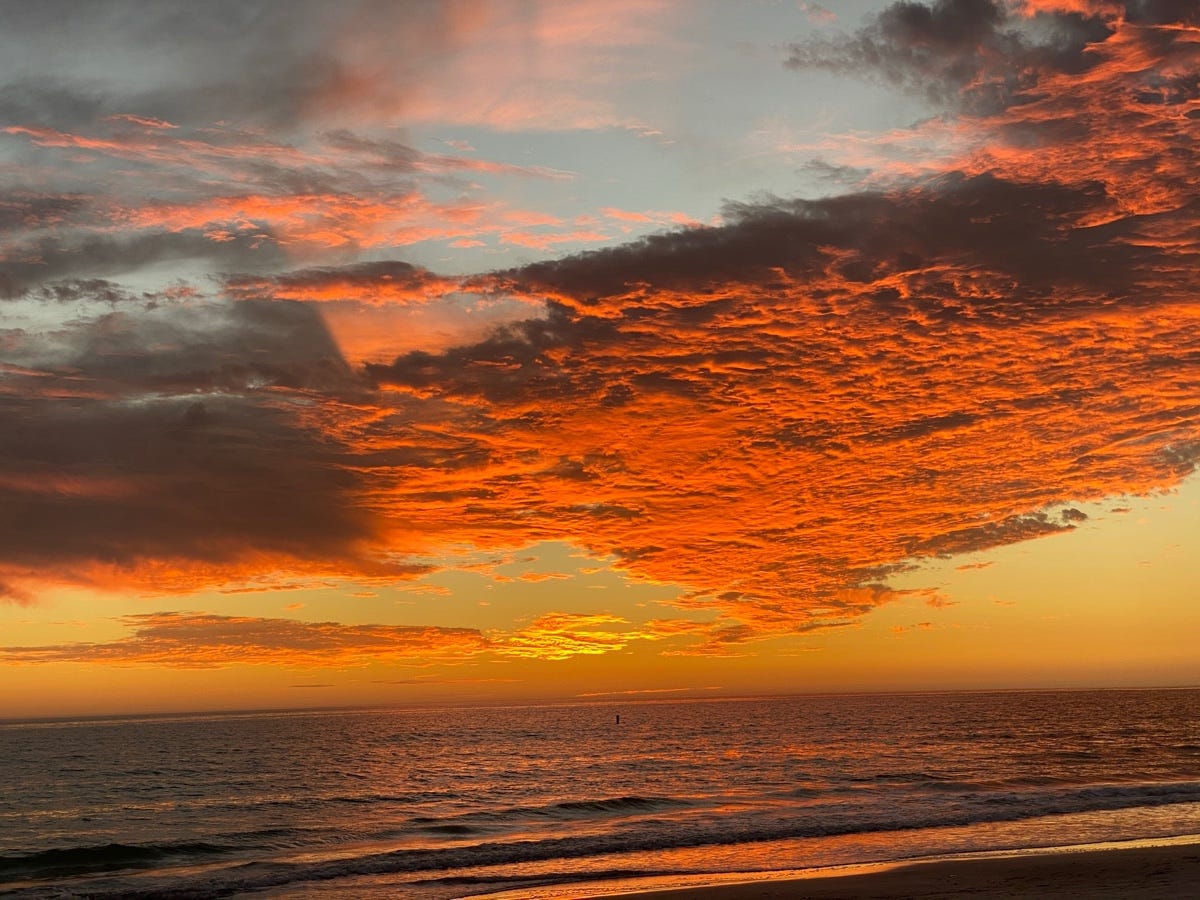 Dani Wolfe – Medium