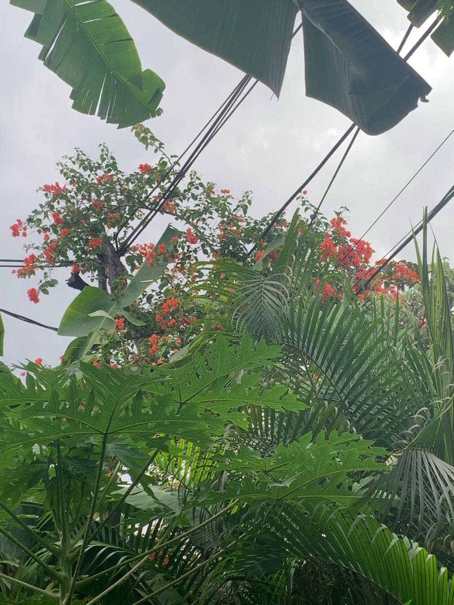 Bryan Aurelius on Medium curated some lists