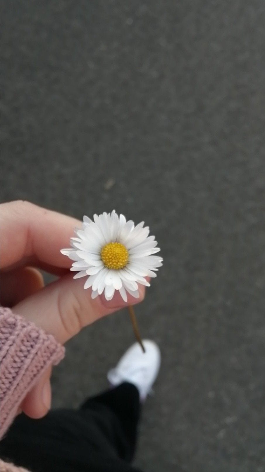 Vartika Nishad – Medium