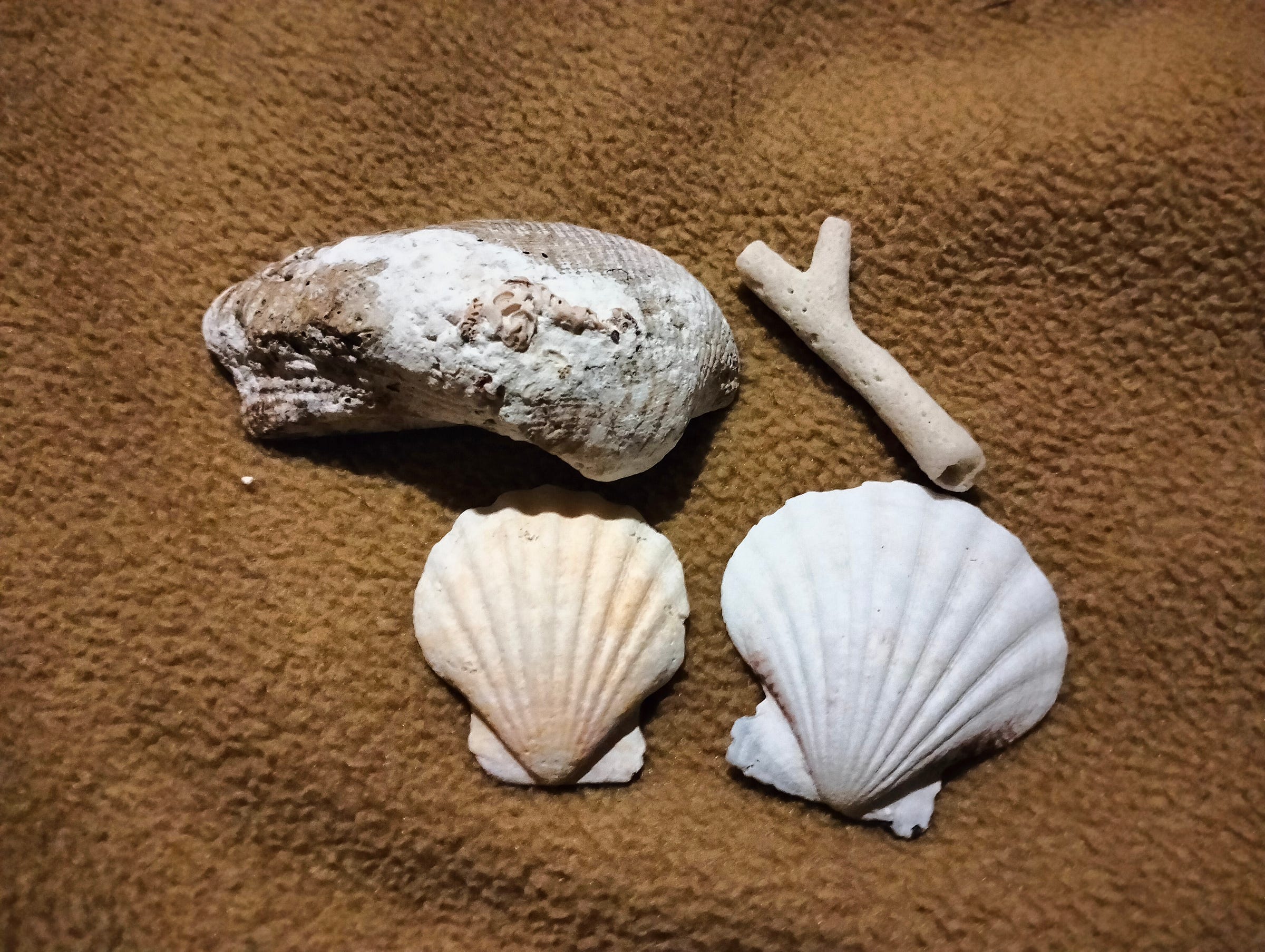 anonymous ҉ – Medium