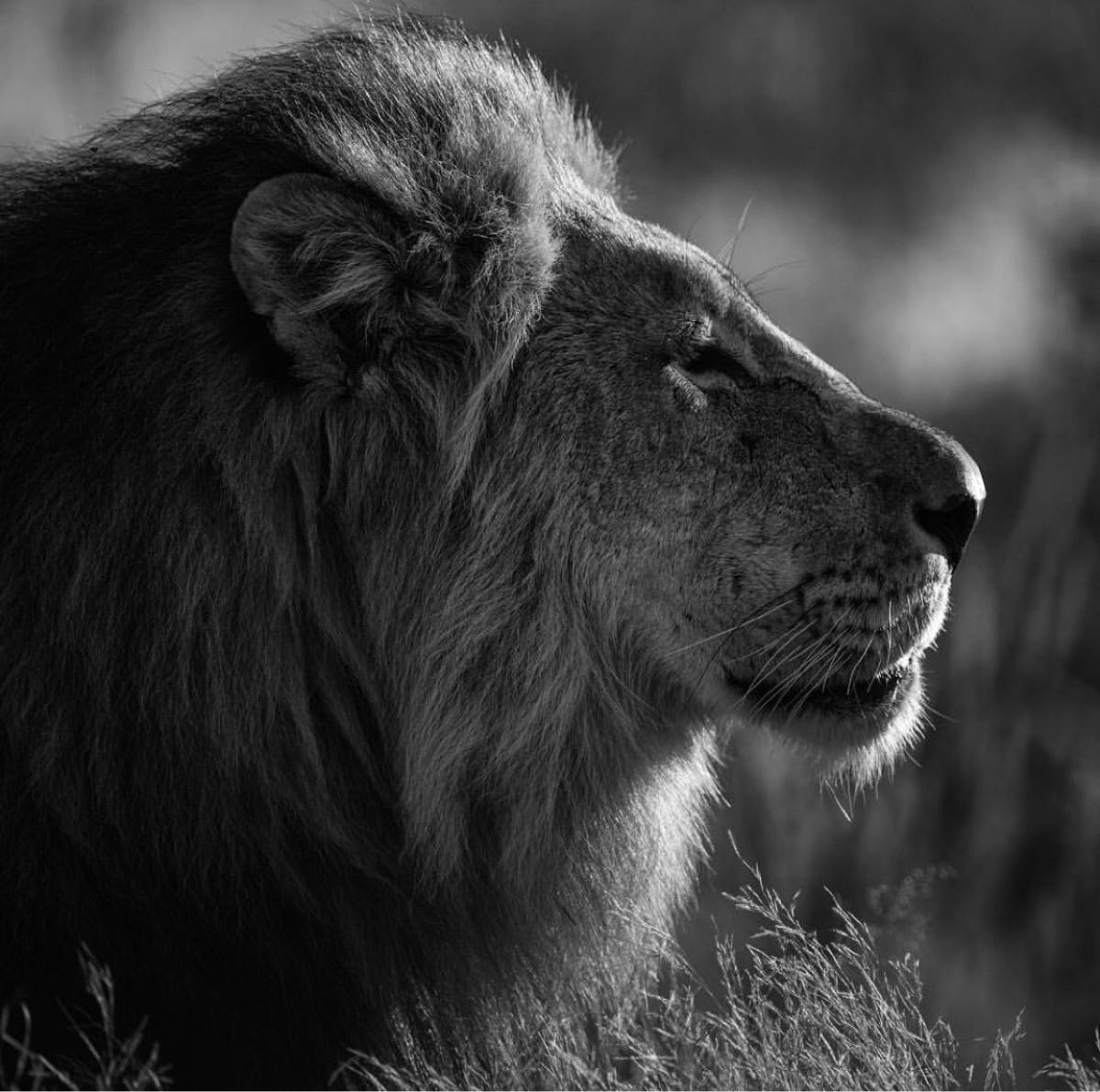 Deepak Shakur – Medium