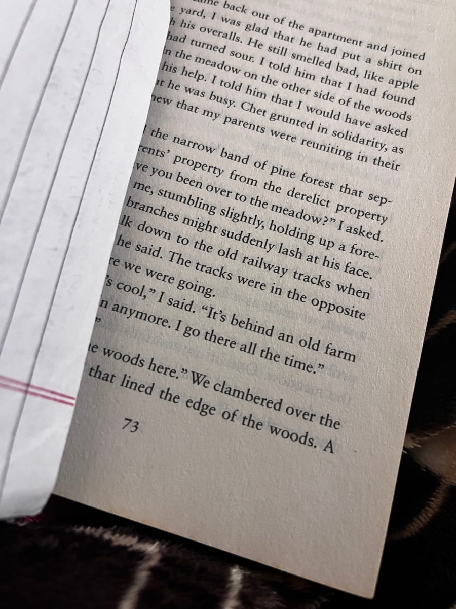 Soul Writer on Medium curated some lists