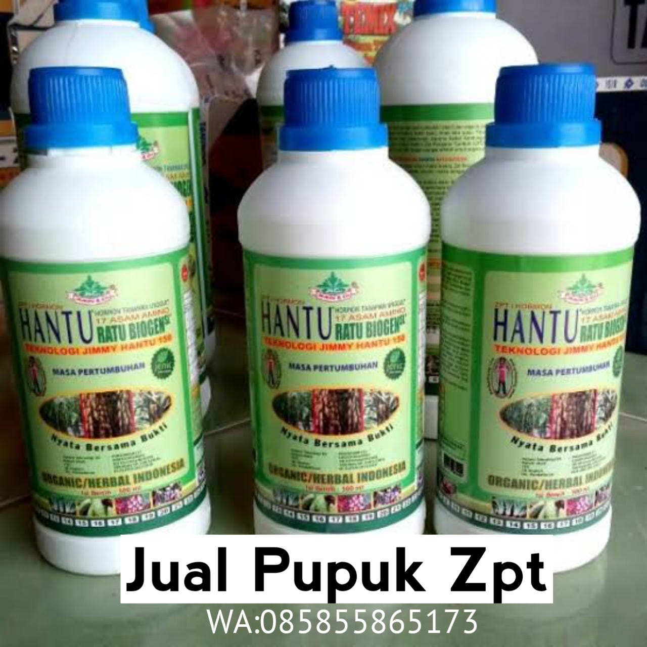 Distributor Pupuk Zpt 085855865173 Kediri – Medium