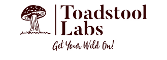 About – Toadstoollabs – Medium