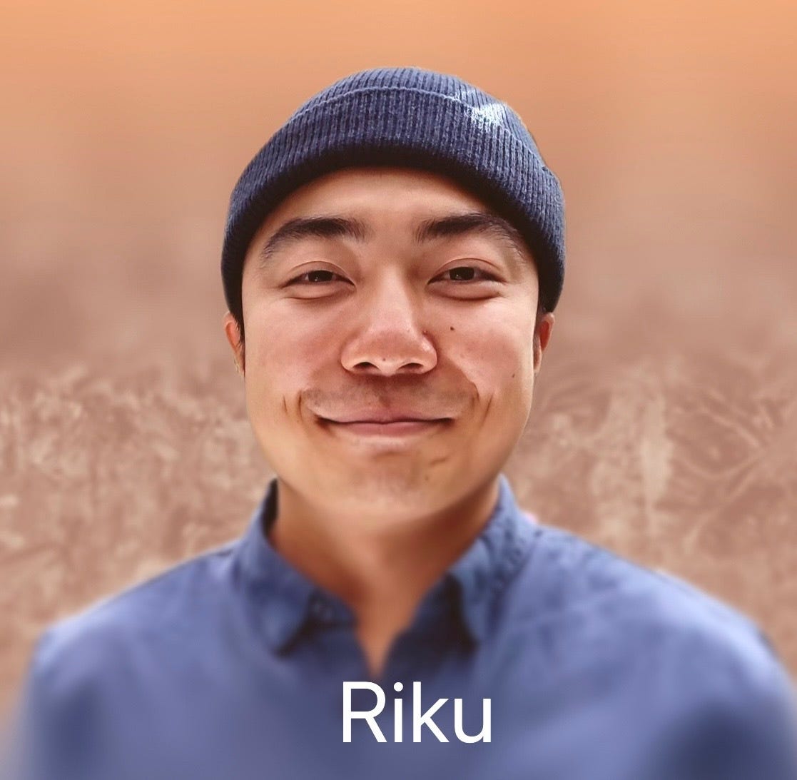 Riku on Medium curated some lists