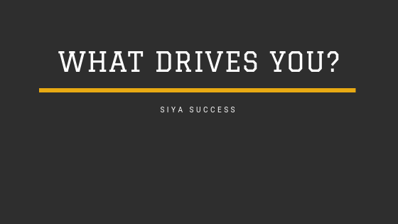 What Drives You?