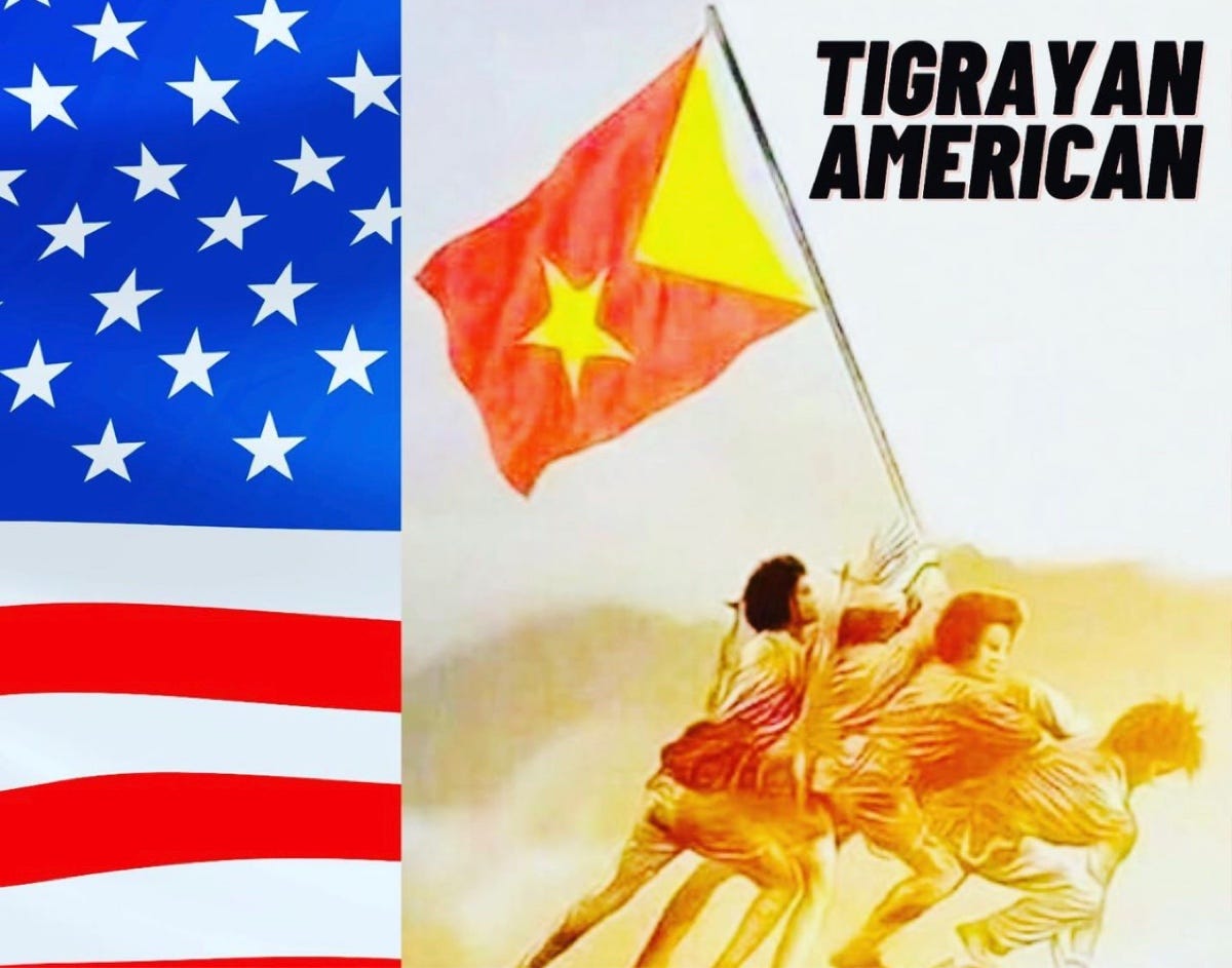 Tigrayan American – Medium