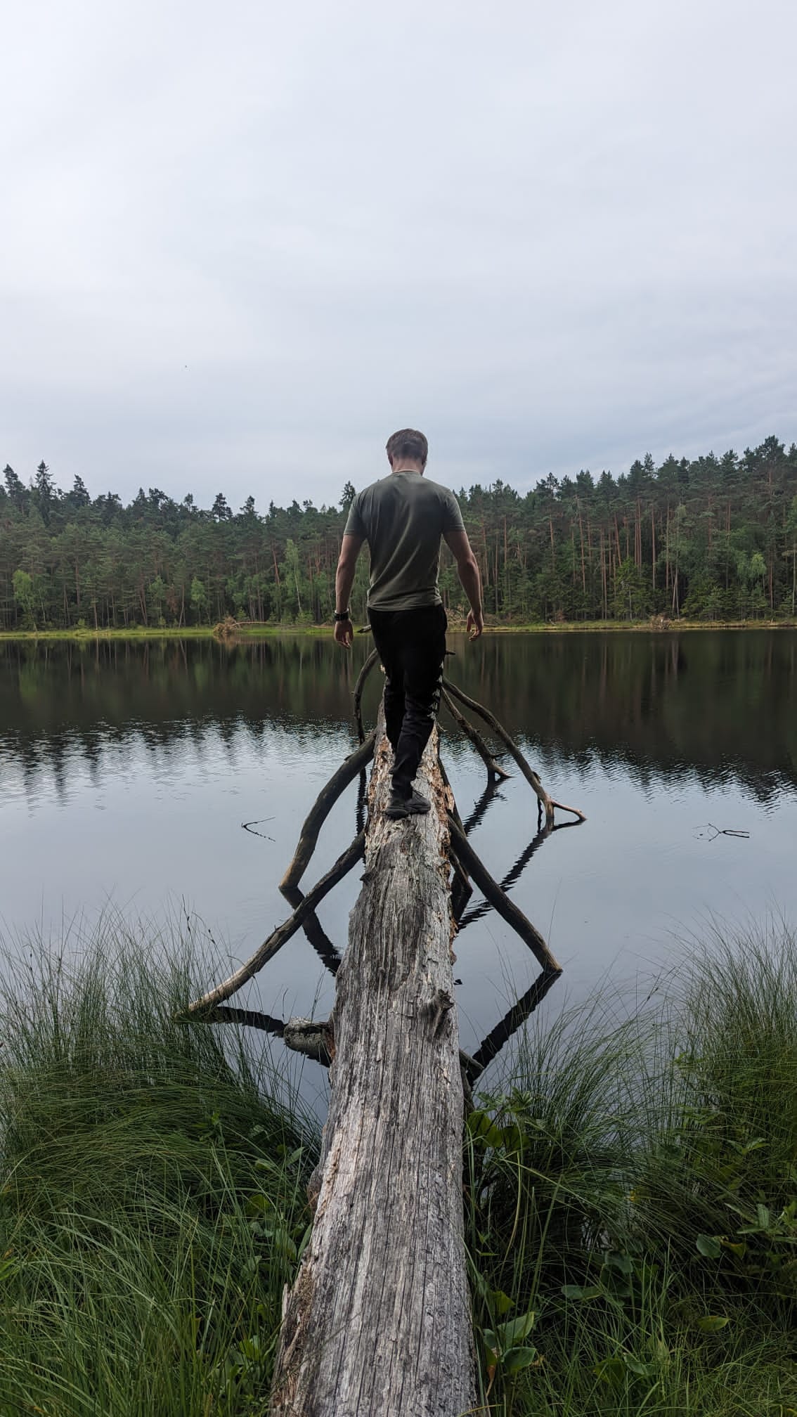 Arnas buivydas on Medium curated some lists