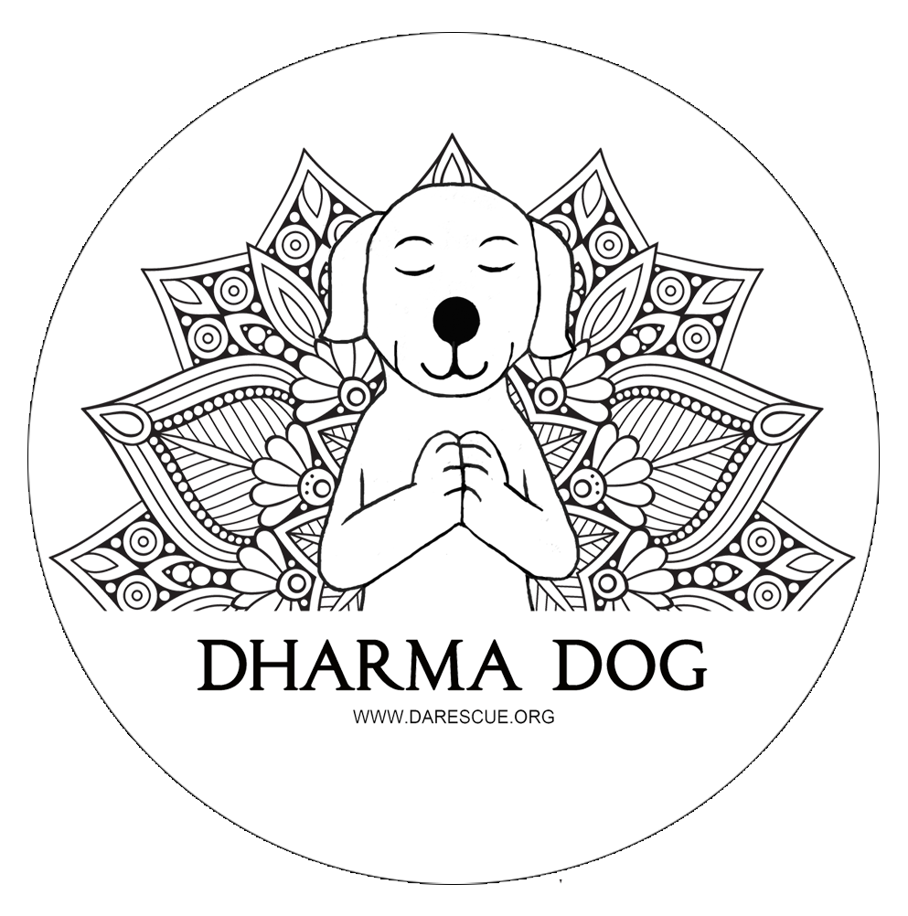 Dharma Dog Blog – Medium
