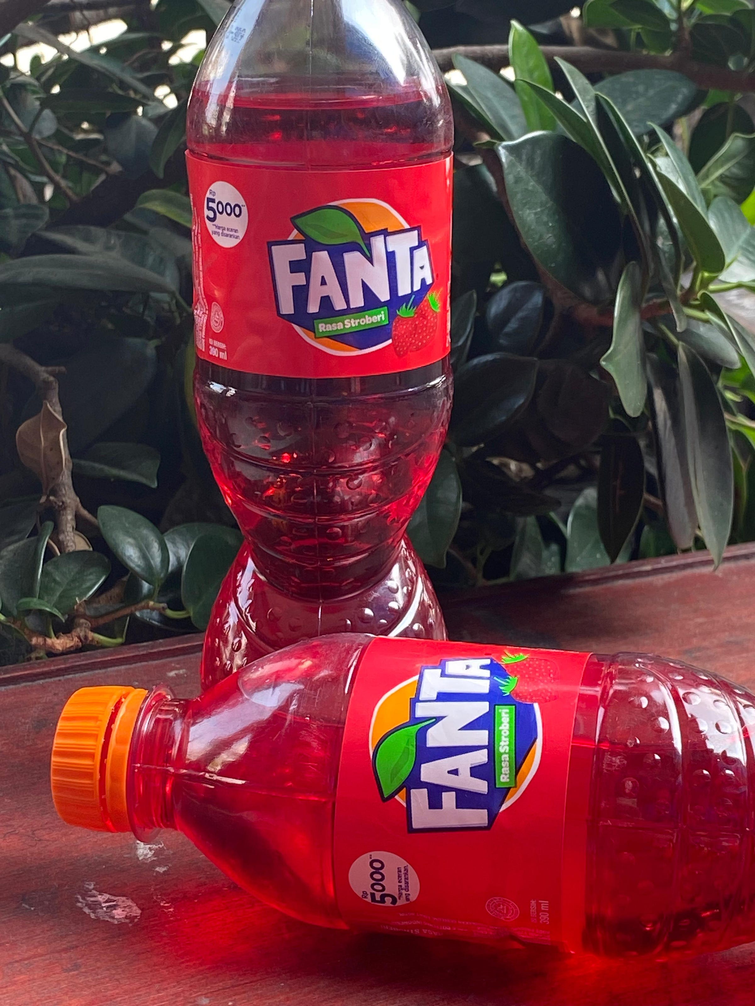 Hub:+62 878-6038-4215, Jual Minuman Fanta Segar – Medium