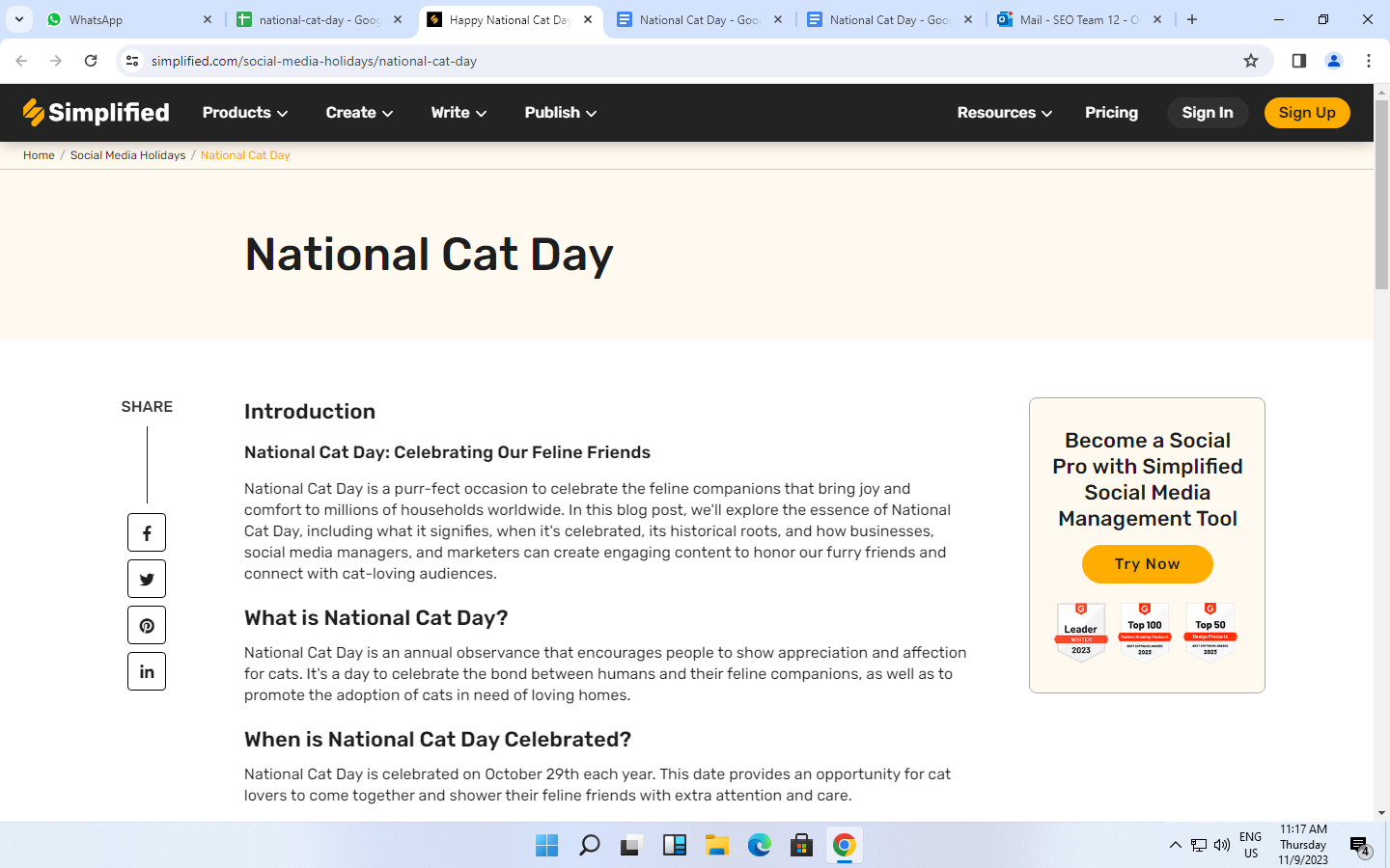 National Cat Day – Medium