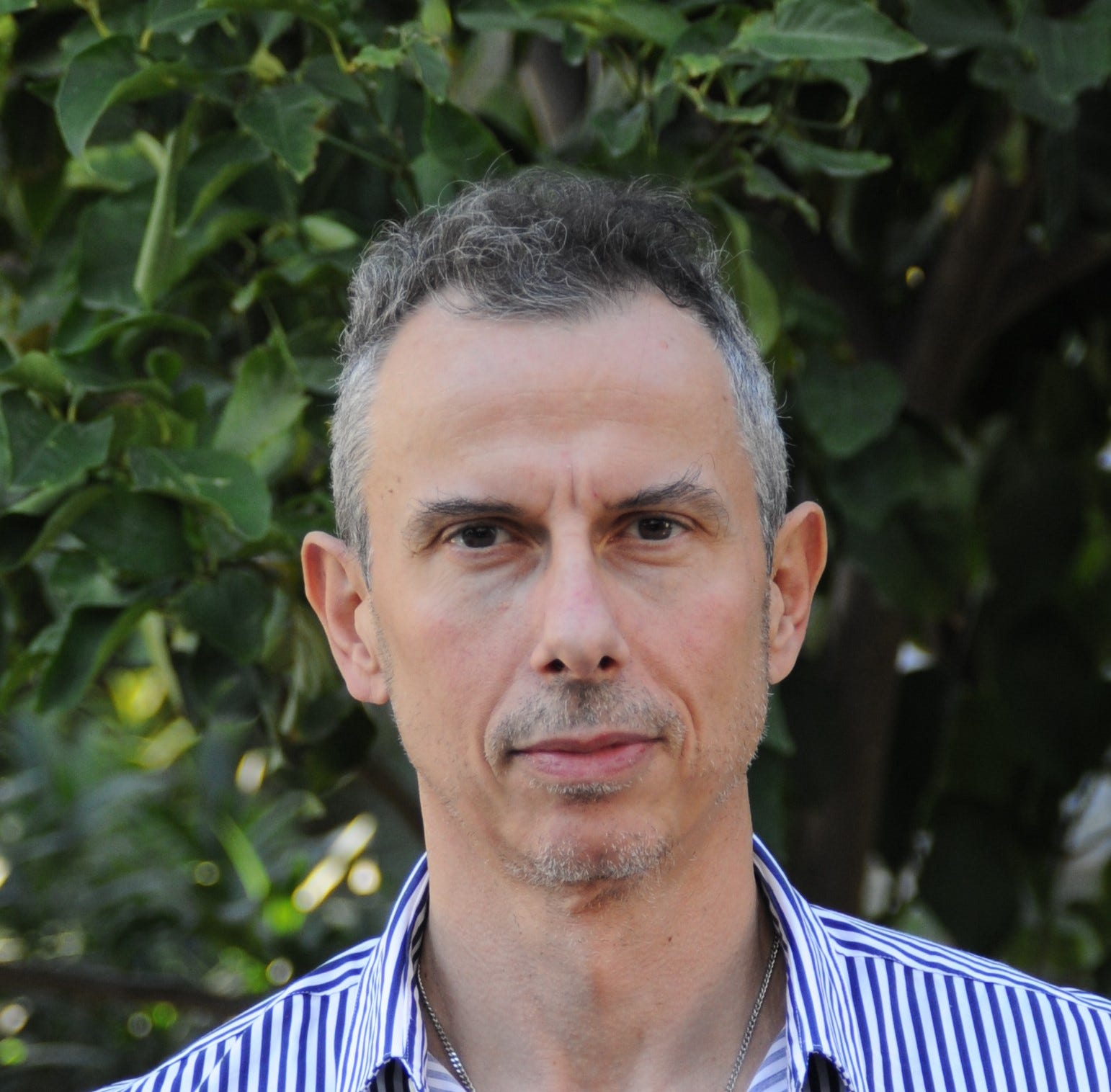 Panagiotis Bampalis – Medium