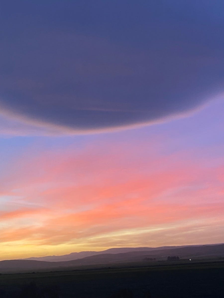 Arfaoui islem – Medium