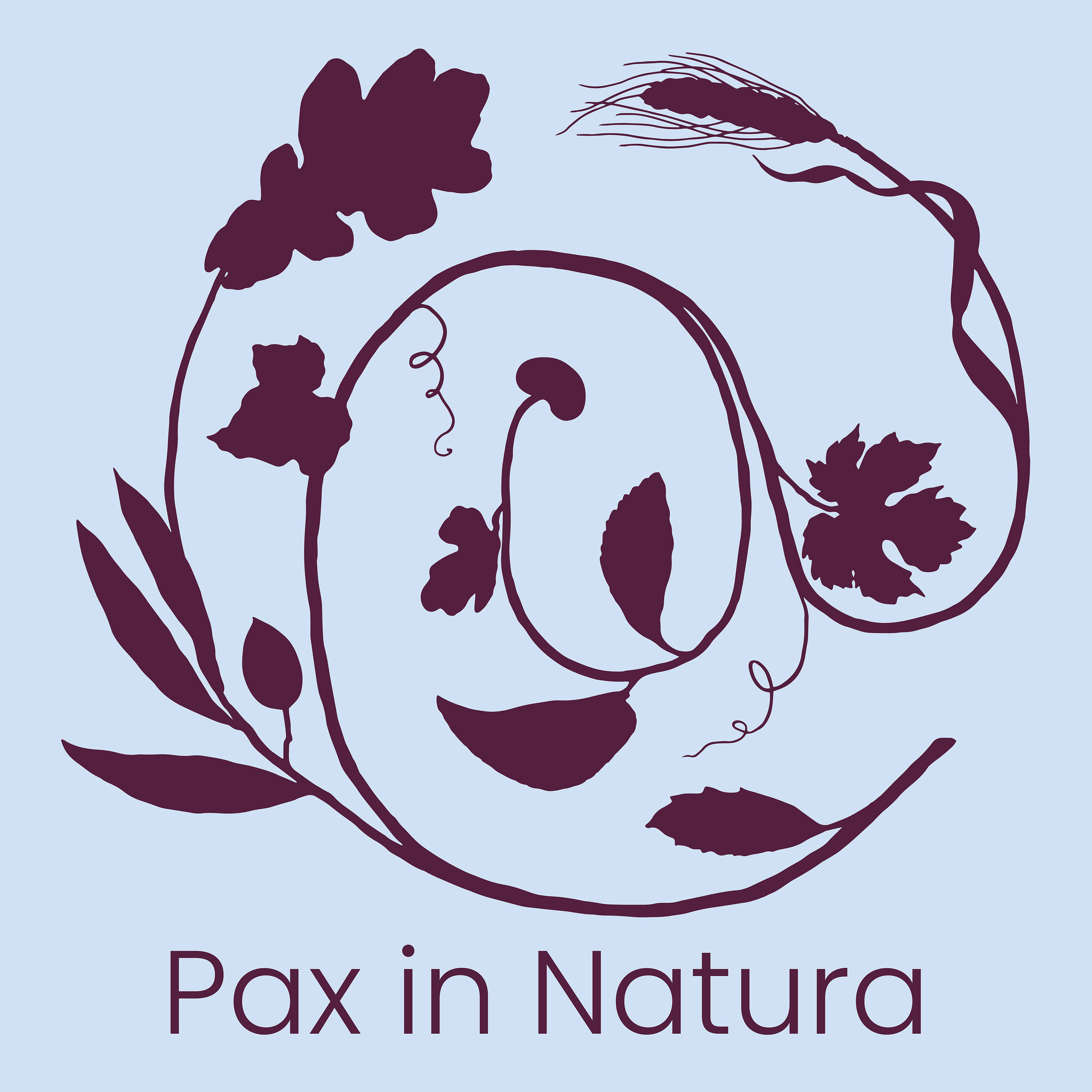 Dr Patricia Baker, Founder of Pax in Natura – Medium