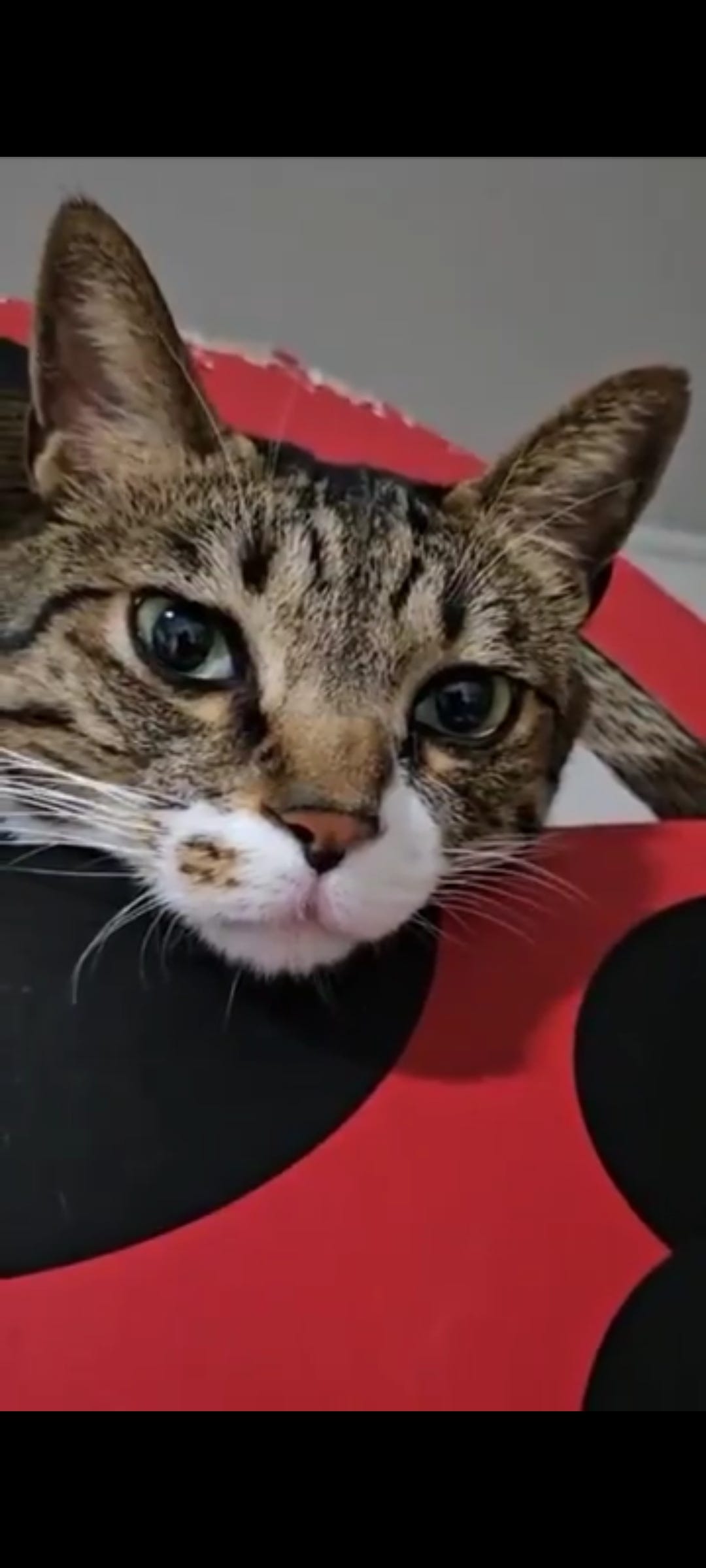 Dwi Wulandari – Medium