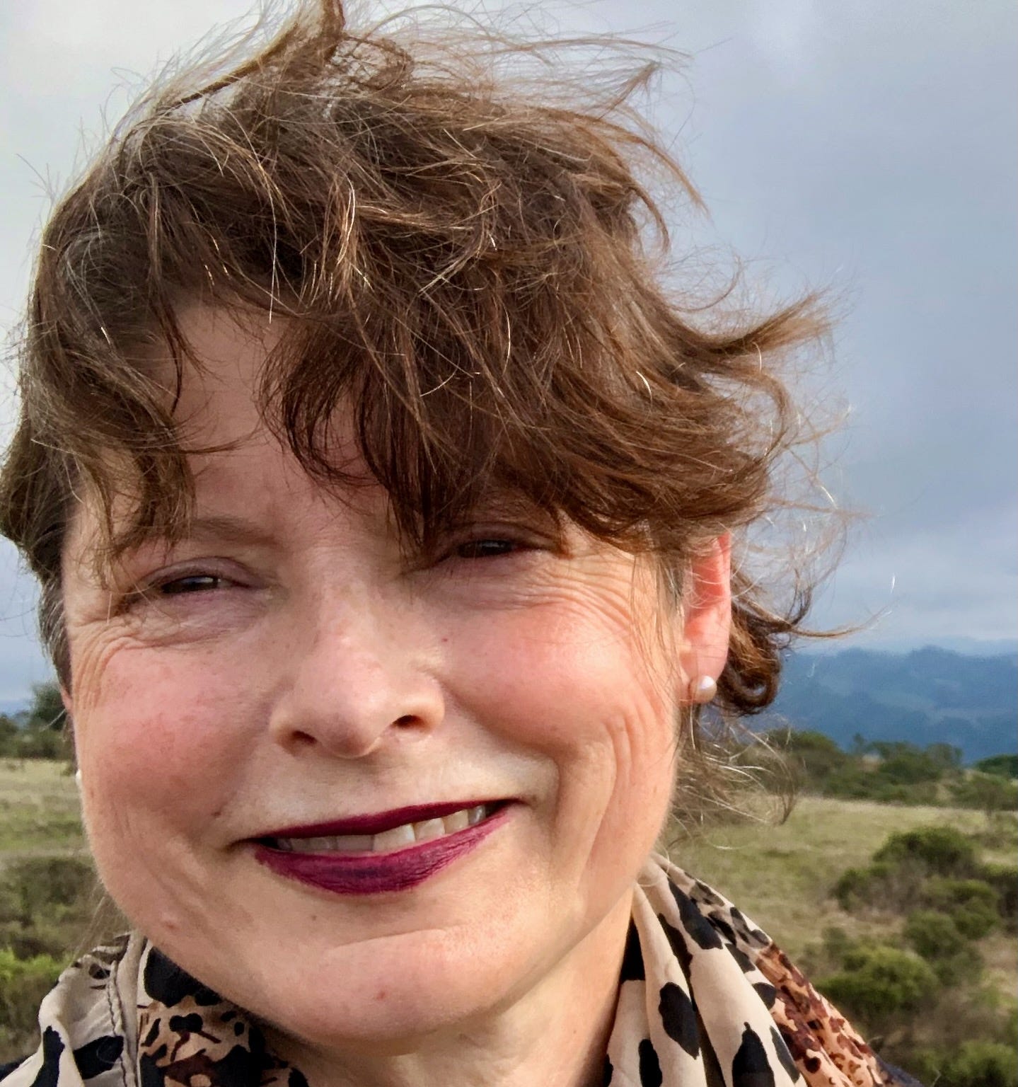 Sue Boudreau – Medium