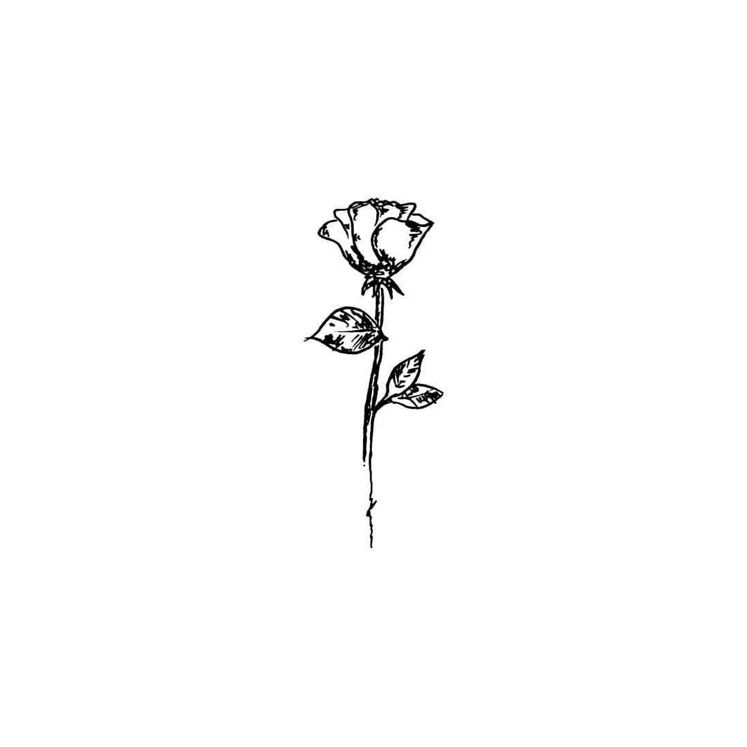 Mj Lopiccolo – Medium