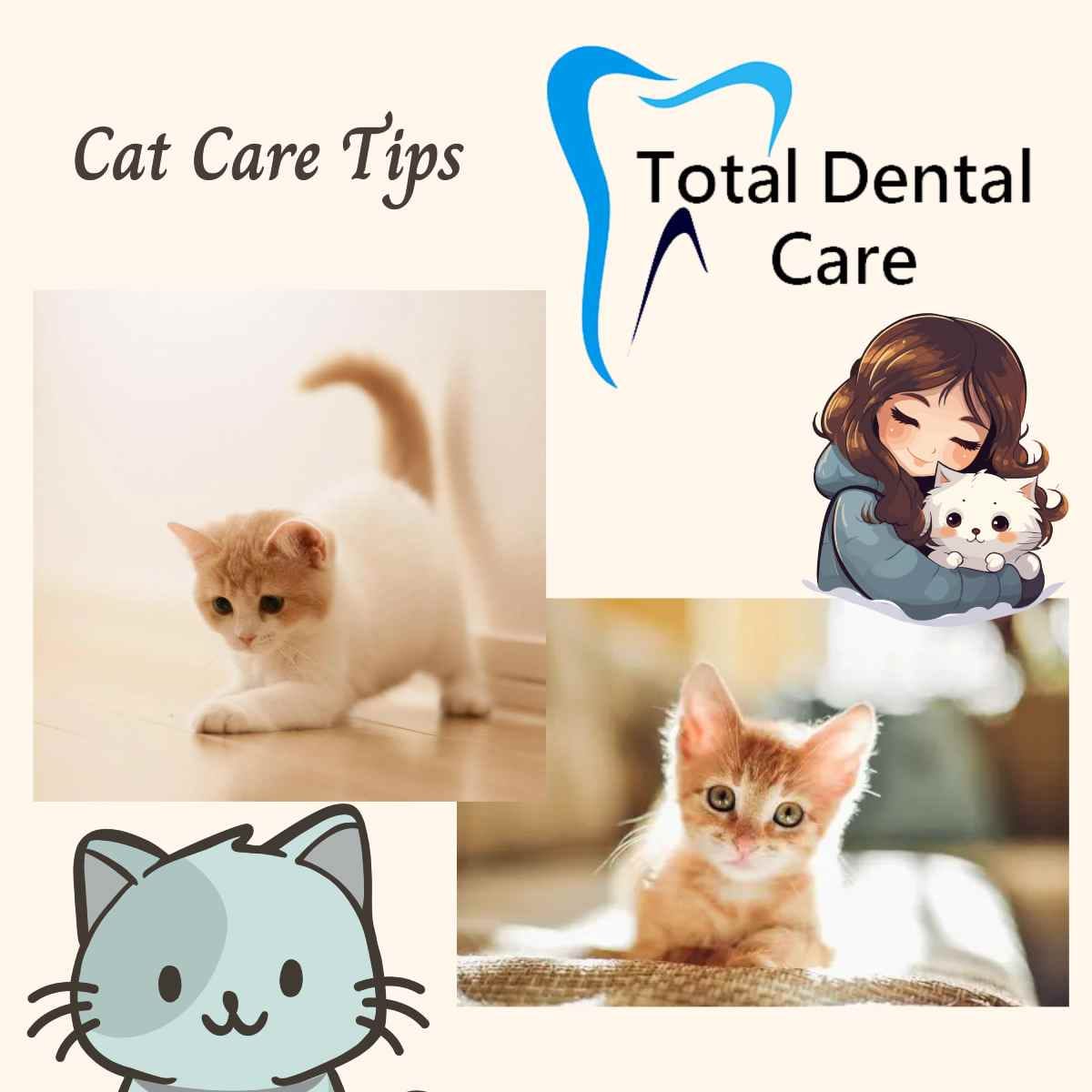 cats age by teeth – Medium