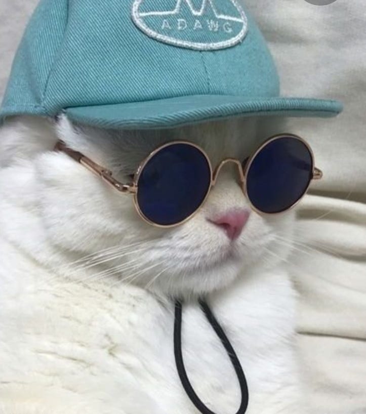 Kevin Darby – Medium