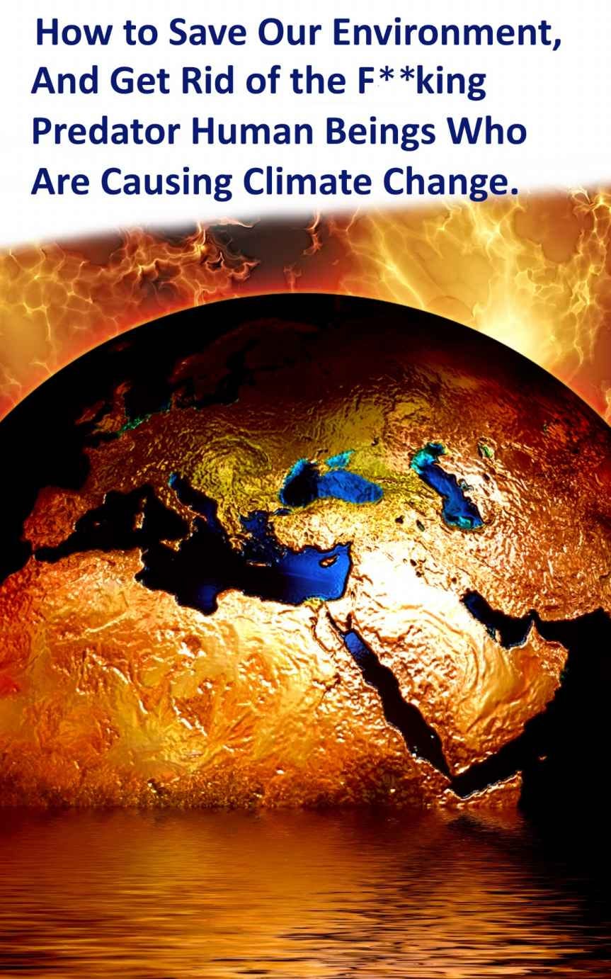 Fixing the Earth