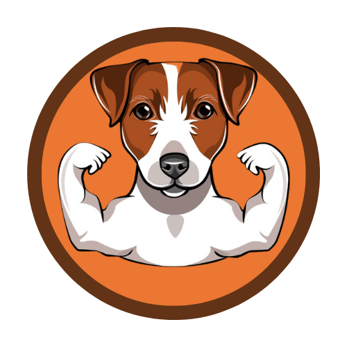 Jack Coin – Medium