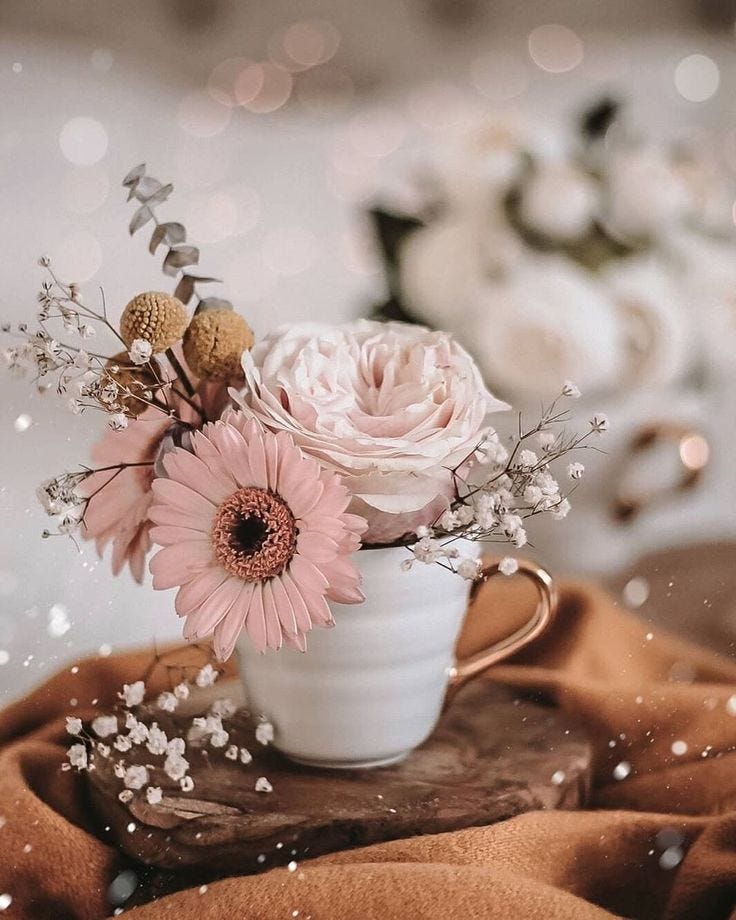 Grace Taylor – Medium