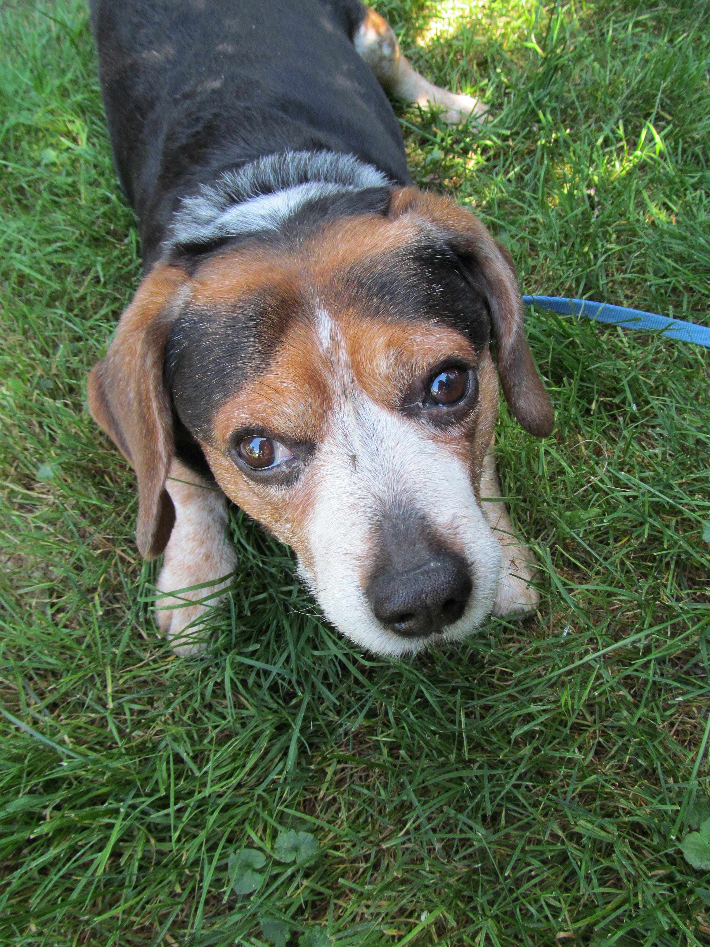 Jackie Myers – Medium