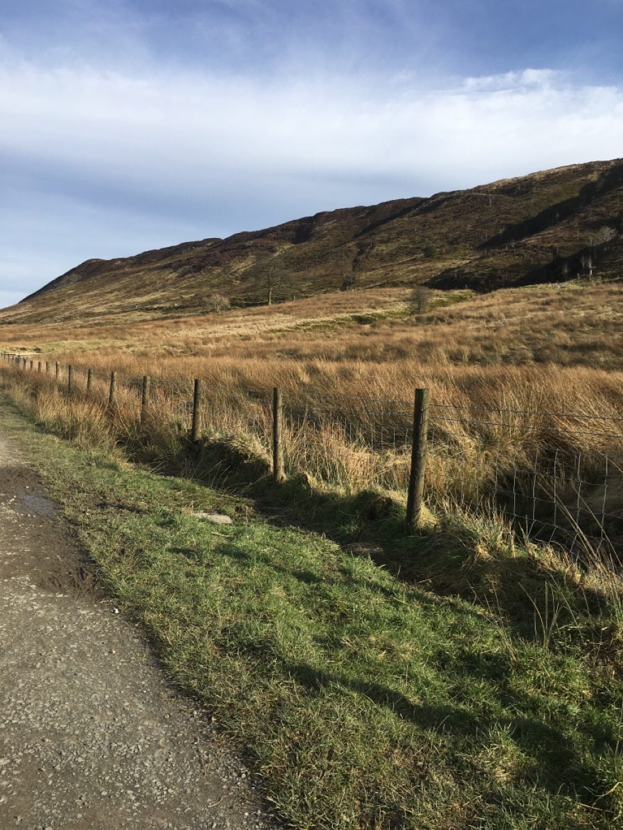 Emma Vincent – Medium