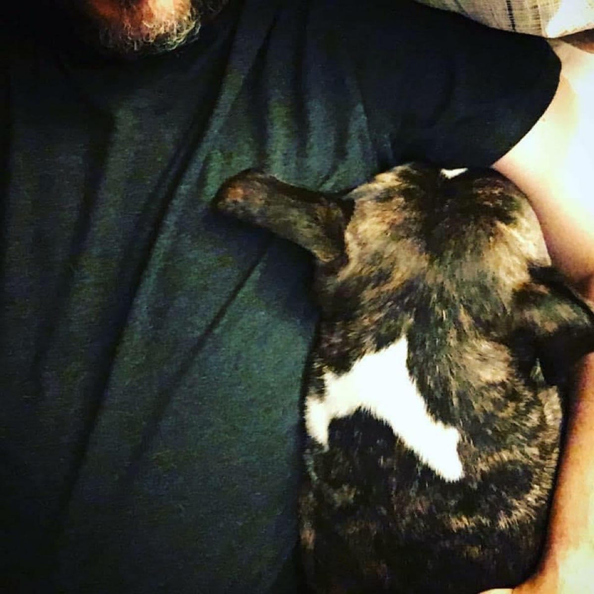 Ross Graham – Medium