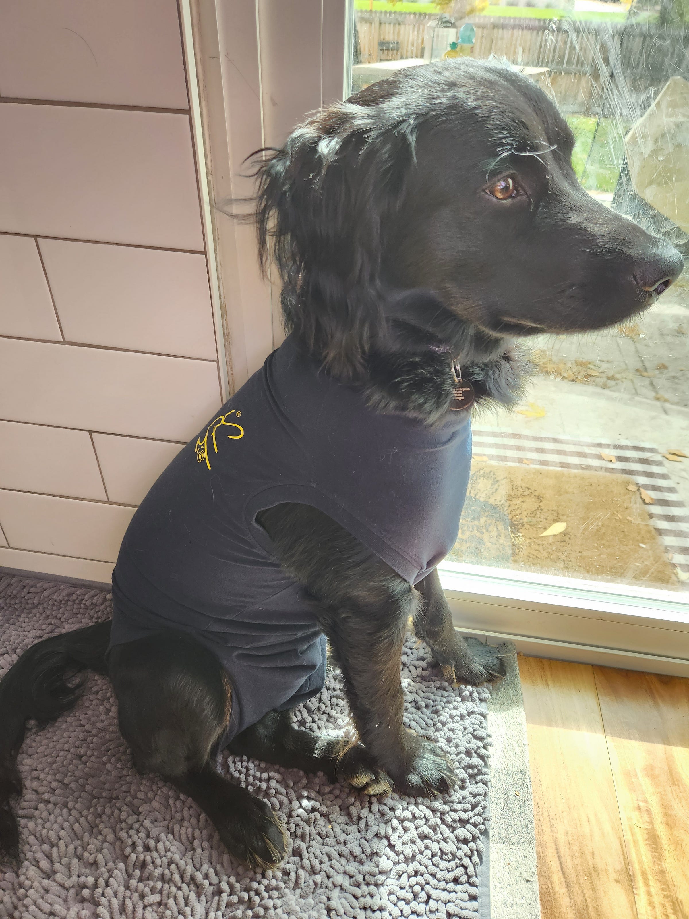 Kacie Long – Medium