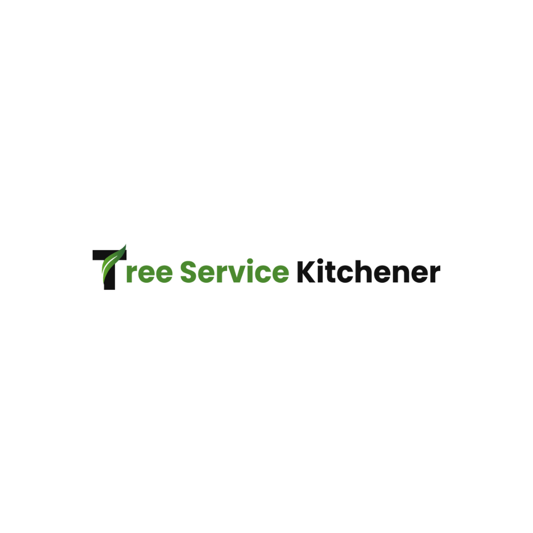 Tree Service Kitchener – Medium