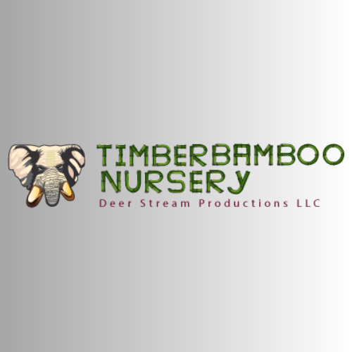 Timber Bamboo Nursery – Medium
