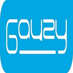 Gauzy – Medium