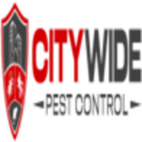 City Wide Pest Control – Medium