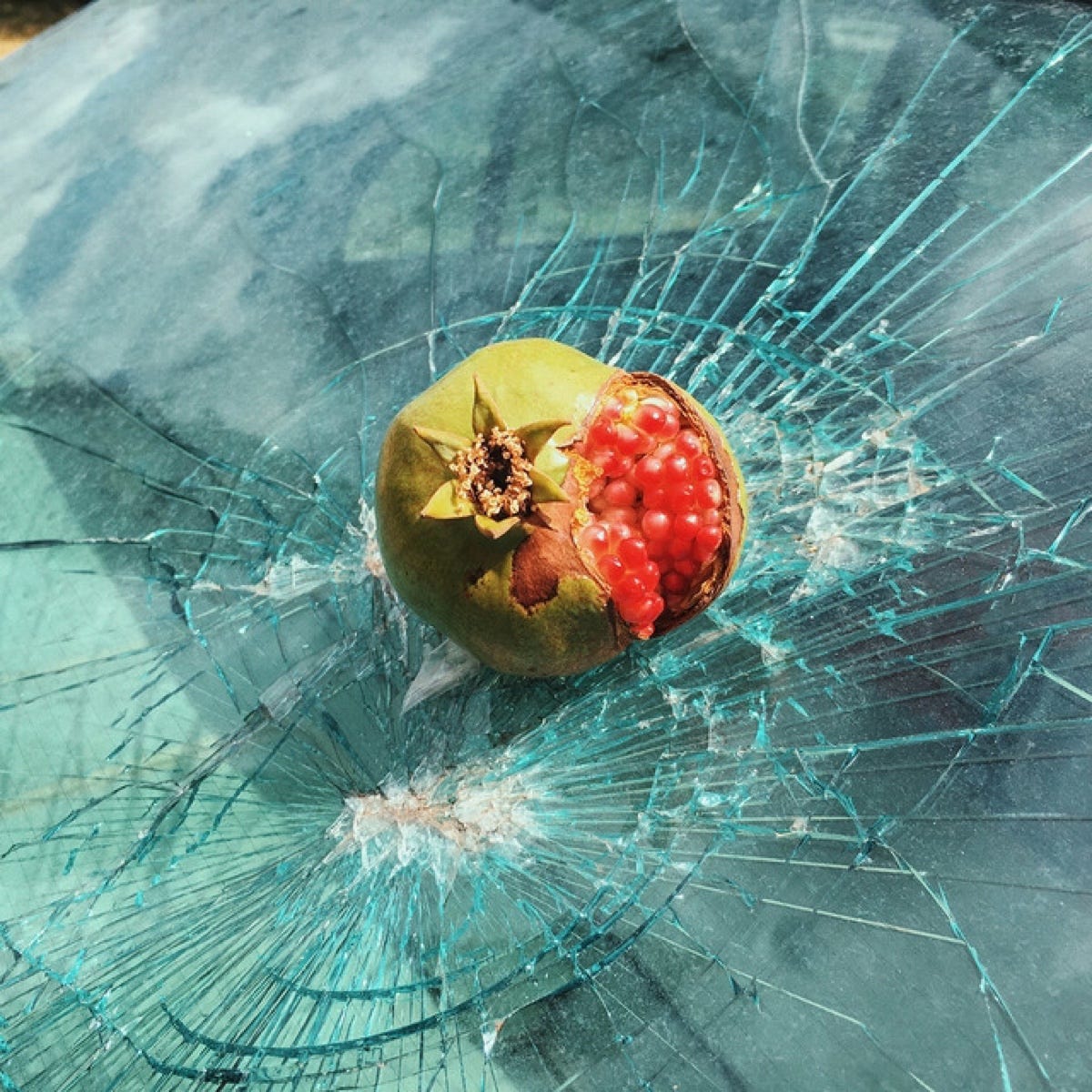 Maxx Pegasus – Medium