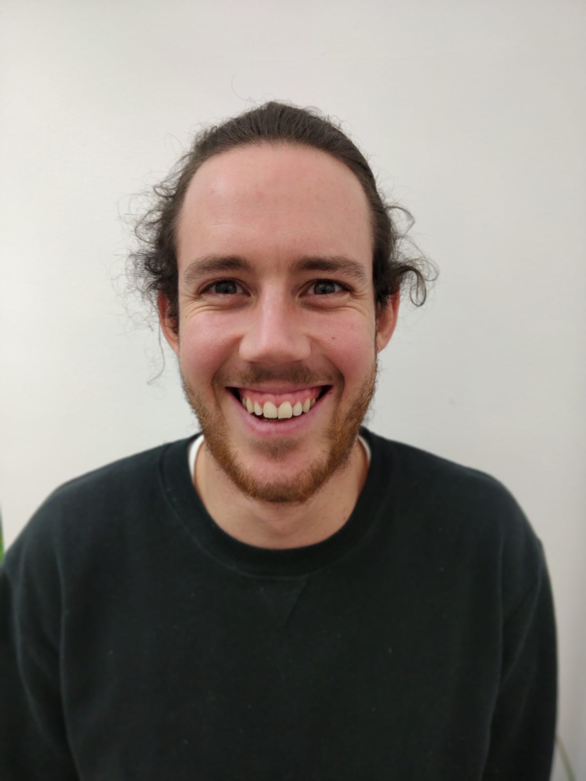 Peter Lane – Medium