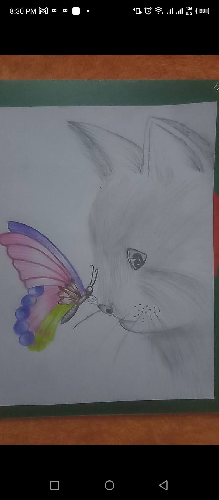 Mehreen Kanwal – Medium