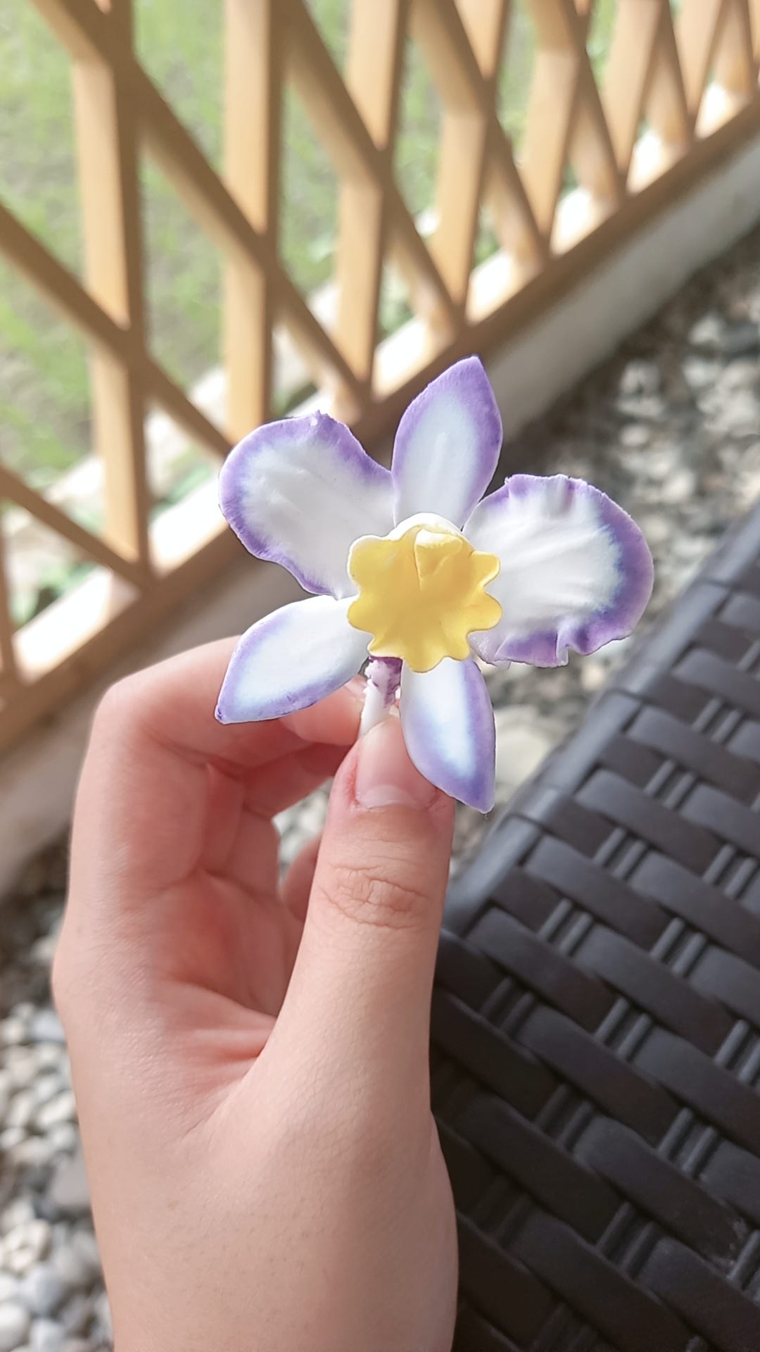 Cassiopeia🪻 – Medium