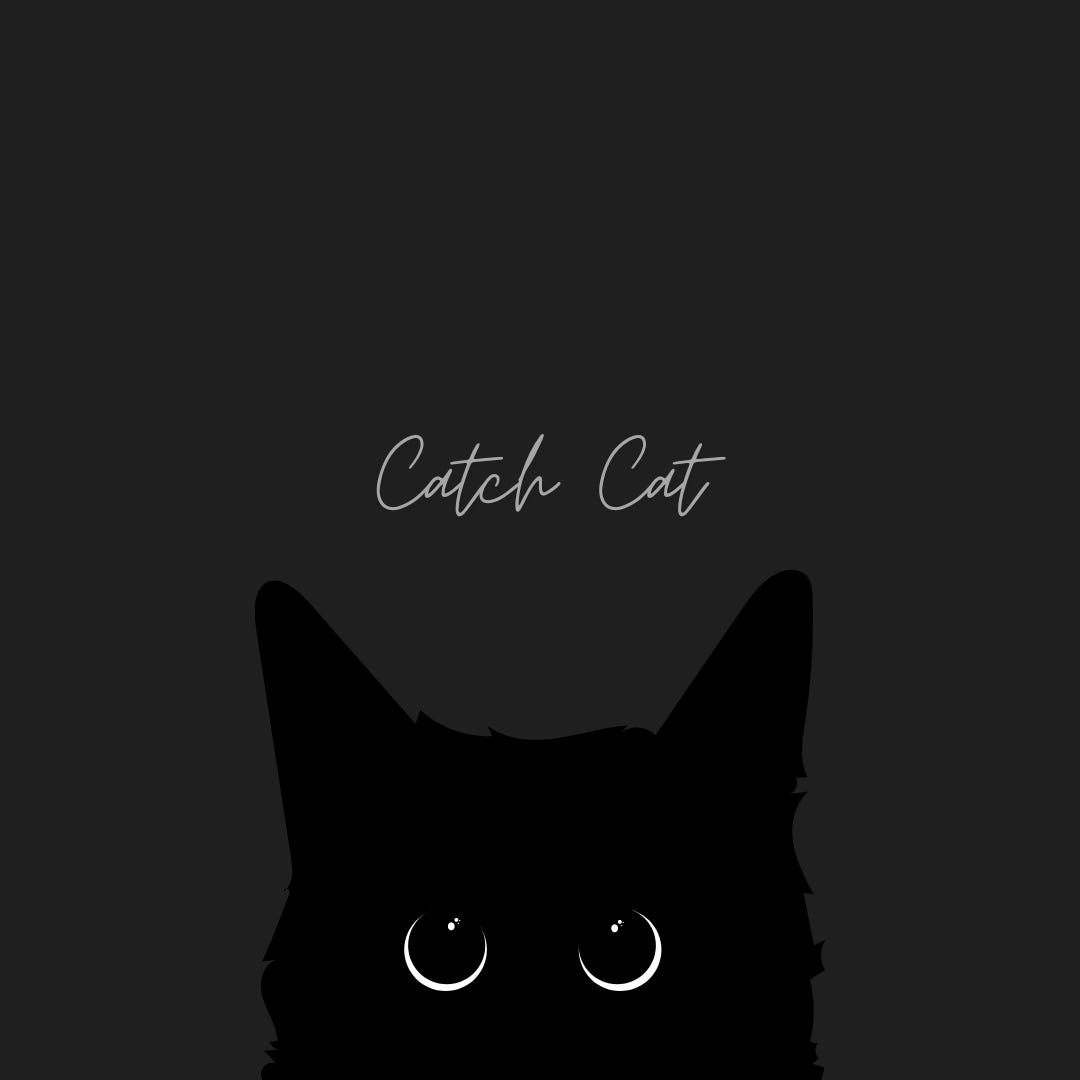 CatchCat – Medium