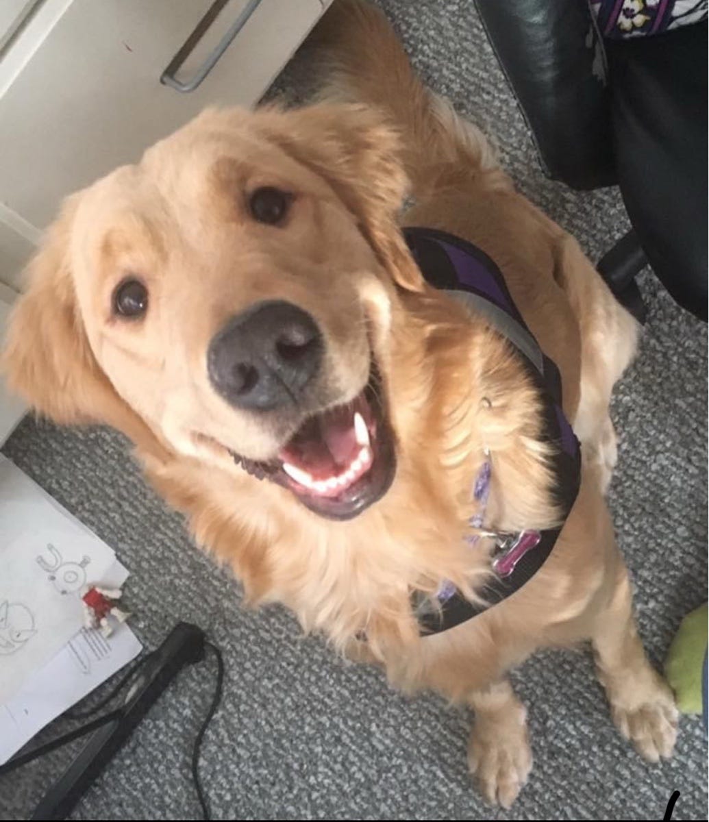 About – Gavin Spaulding – Medium