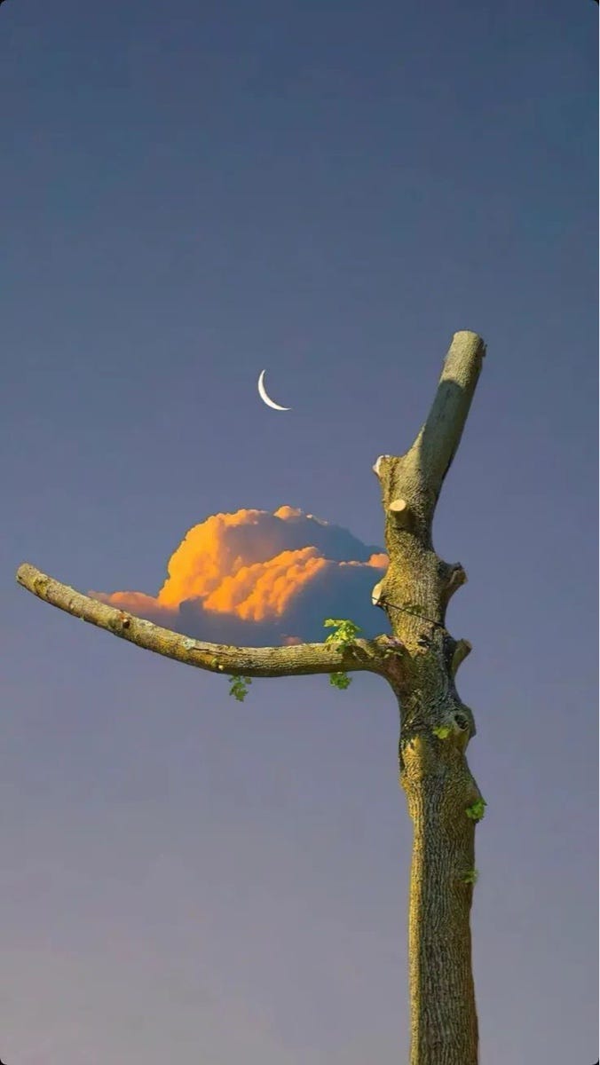 Cris Daniel – Medium